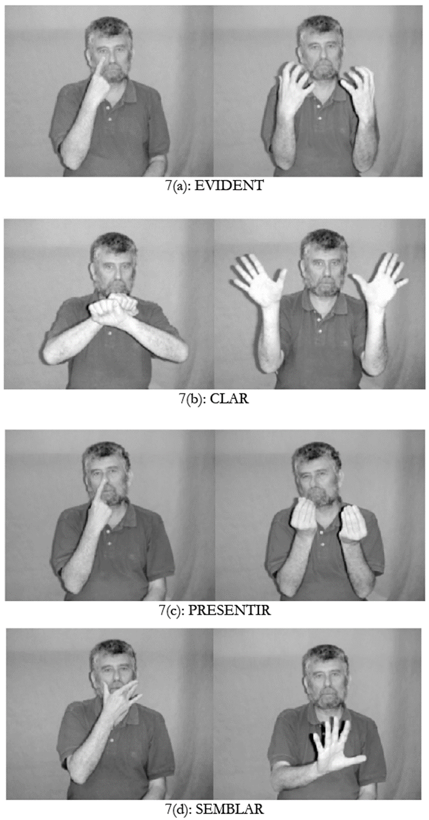 Routes from gesture to language | Revista da ABRALIN